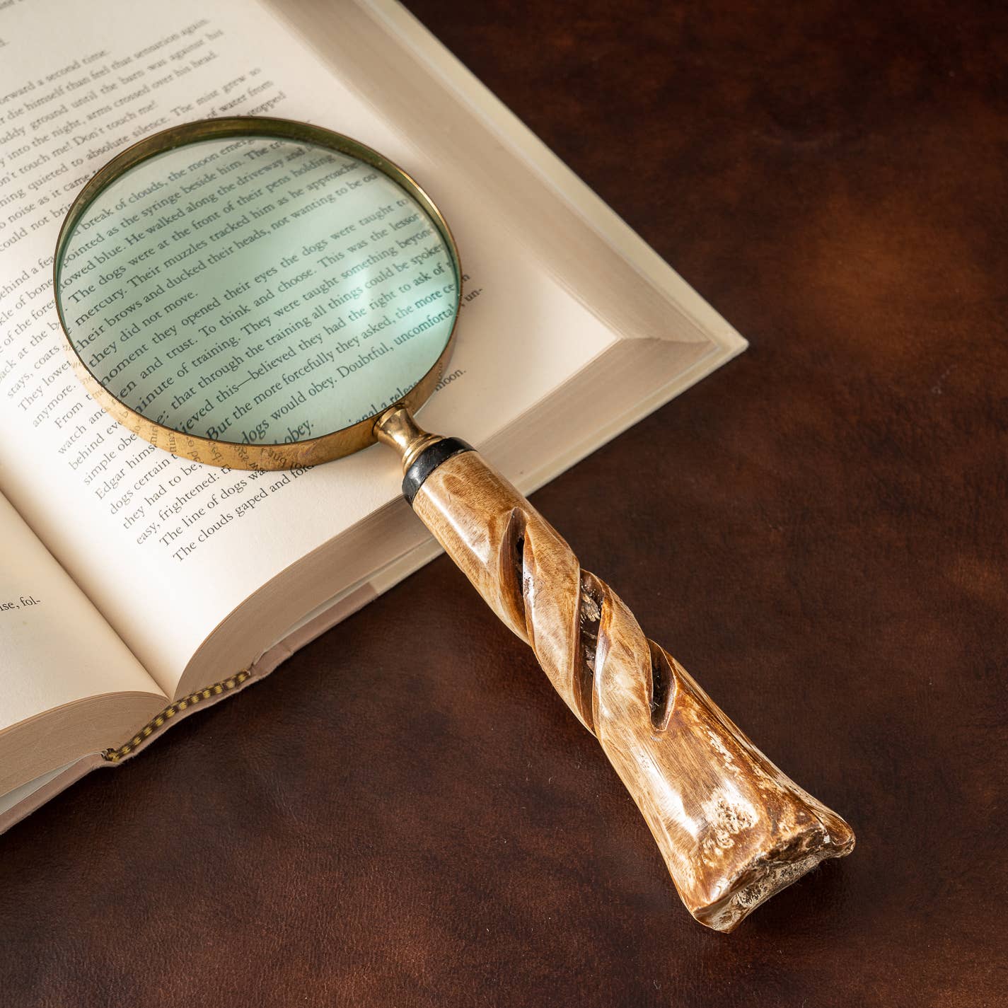 Bone Handle Magnifying Glass – Southern Gifted